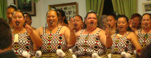 Te Rōpū Whakahau | huiatau2008